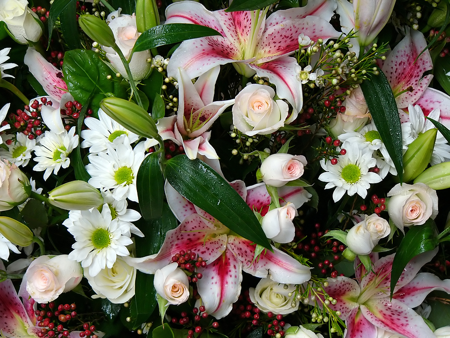 Blumen verschicken: Anbietervergleich - Blumenversand24